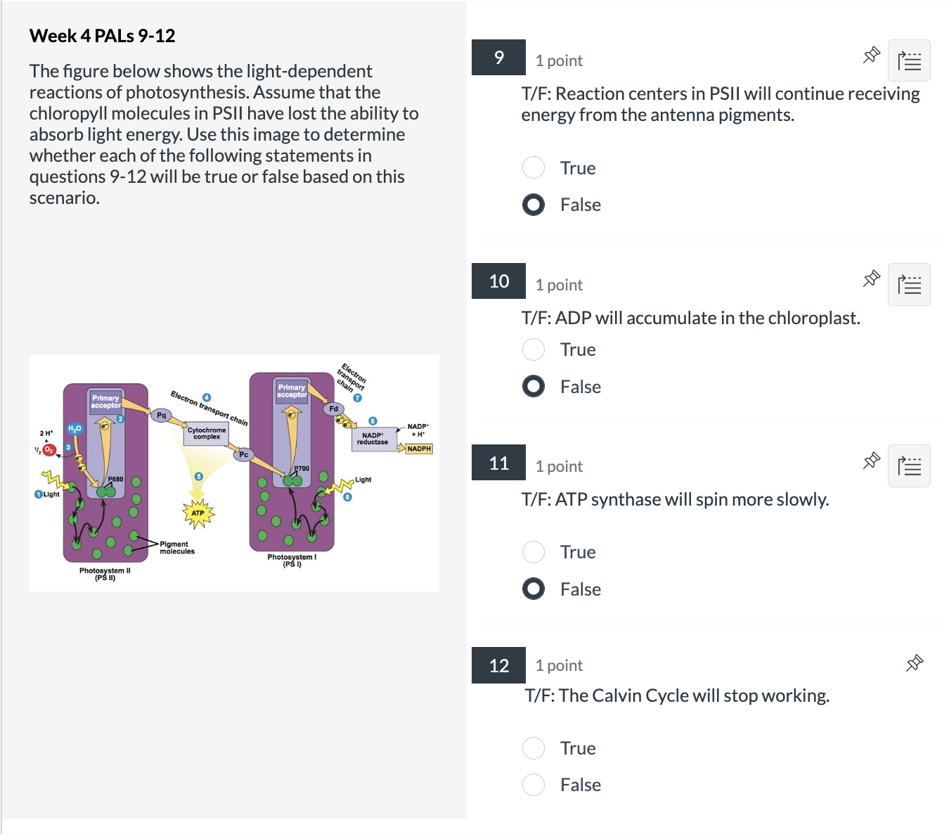 Solved Week 4 ﻿PALs 9-12The figure below shows the | Chegg.com
