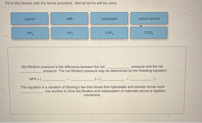 Solved Fill in the blanks with the terms provided. Not all | Chegg.com