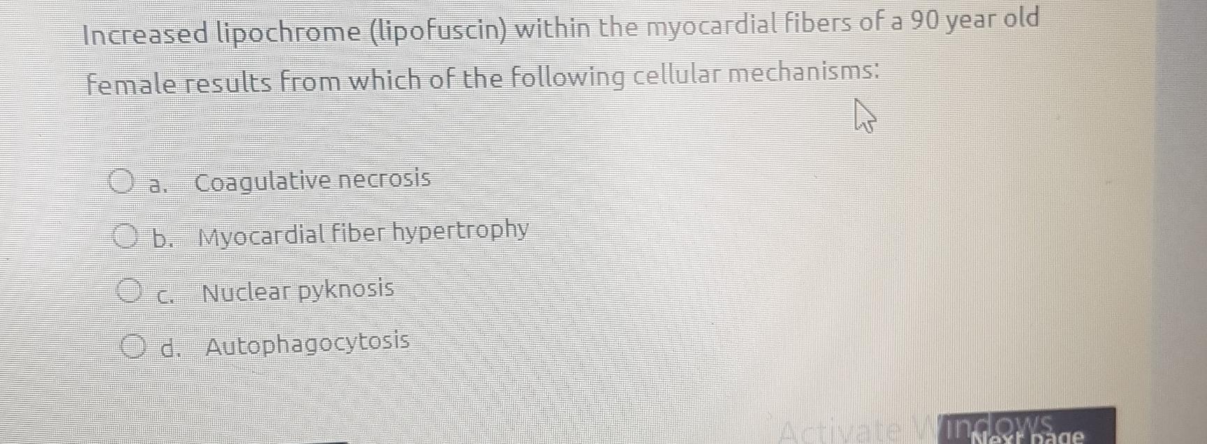 Solved Increased lipochrome (lipofuscin) ﻿within the | Chegg.com