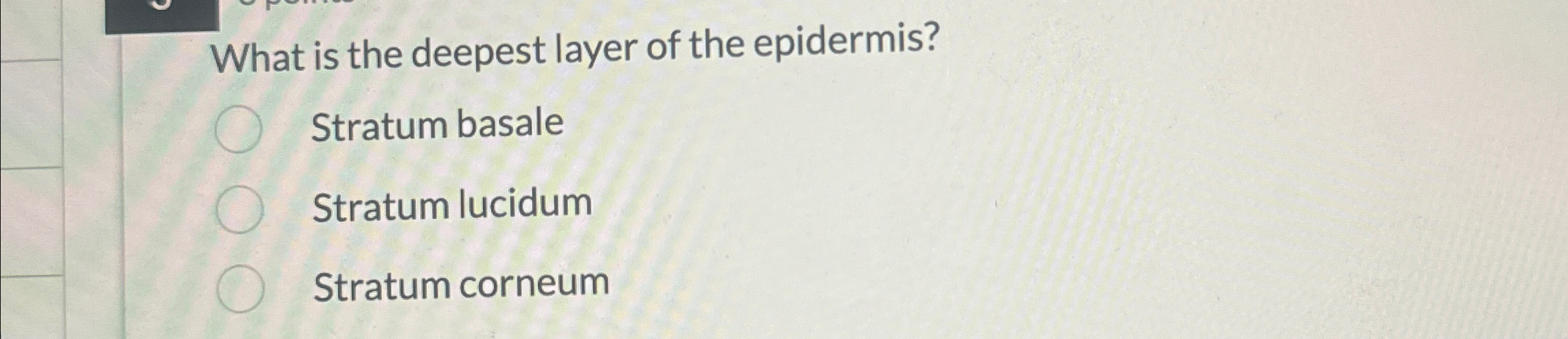 Solved What is the deepest layer of the epidermis?Stratum | Chegg.com