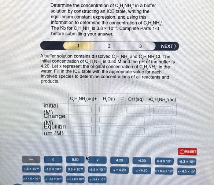 Solved Determine the concentration of C6H8NH3−in a buffer | Chegg.com