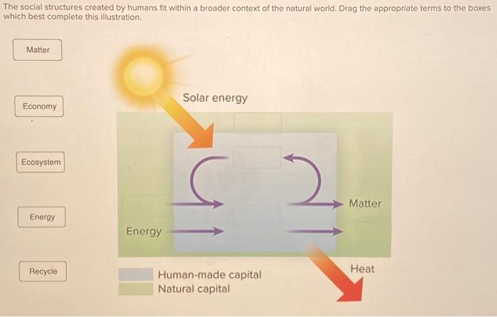 Solved The social structures created by humans fit within a | Chegg.com