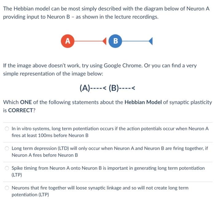 Solved The Hebbian model can be most simply described with | Chegg.com