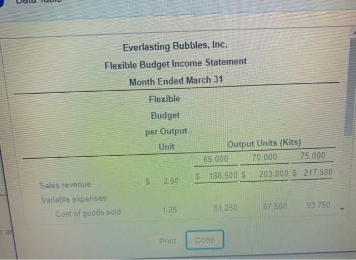 Solved © Data Table 211,500 Everlasting Bubbles, Inc. Income | Chegg.com