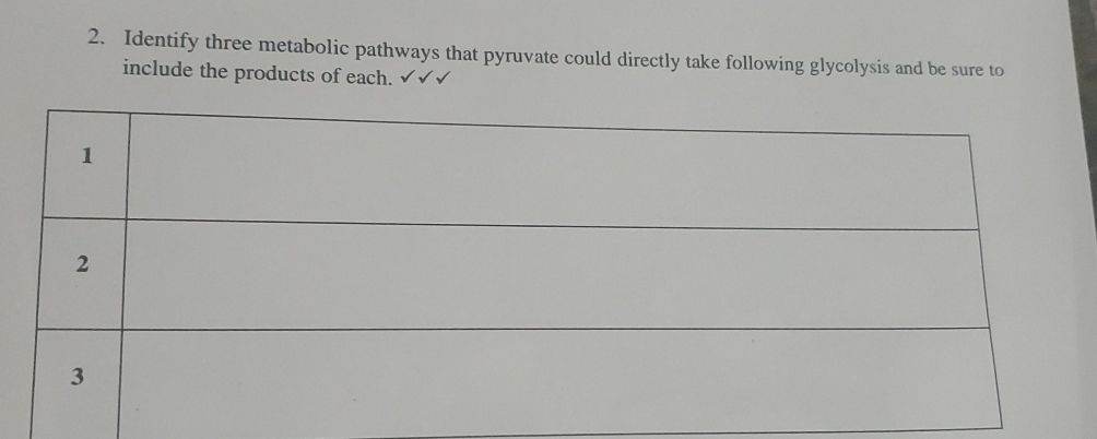 Solved Identify three metabolic pathways that pyruvate could | Chegg.com