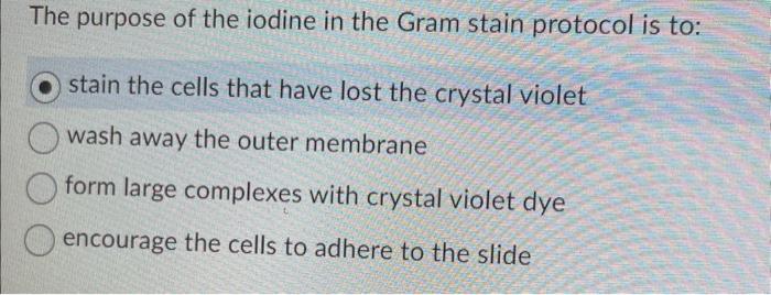 Solved The purpose of the iodine in the Gram stain protocol | Chegg.com
