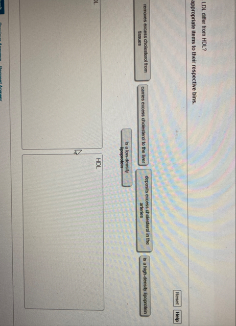 Solved LDL differ from HDL?appropriate items to their | Chegg.com