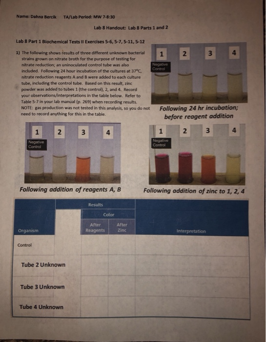 Solved Name: Dahna Bercik TA/Lab Period: MW 7-8:30 Lab 8 | Chegg.com