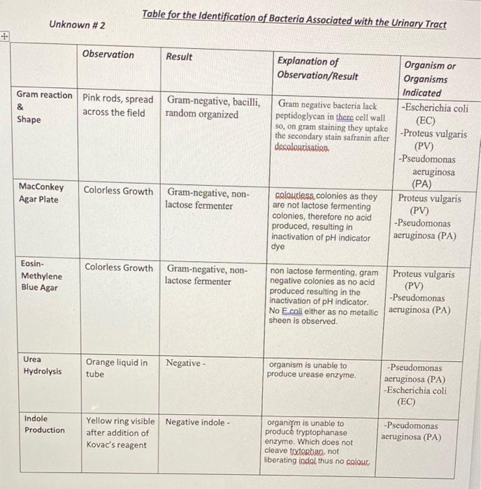 Solved Table for the identification of Bacteria Associated | Chegg.com