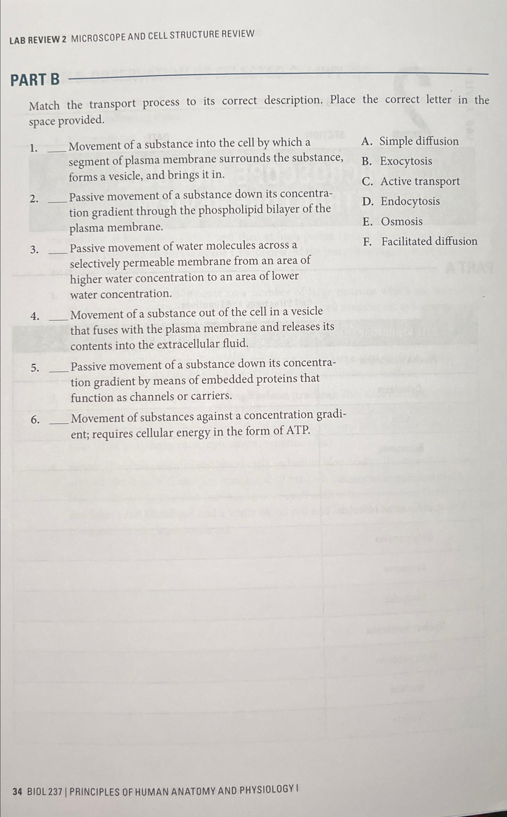 Solved LAB REVIEW 2 ﻿MICROSCOPE AND CELL STRUCTURE | Chegg.com