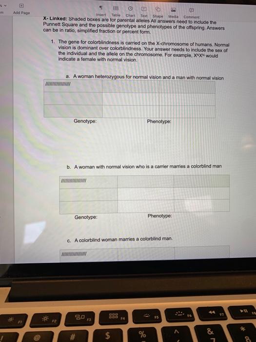 Solved m Add Page Insert Table Chart Text Shape Media | Chegg.com