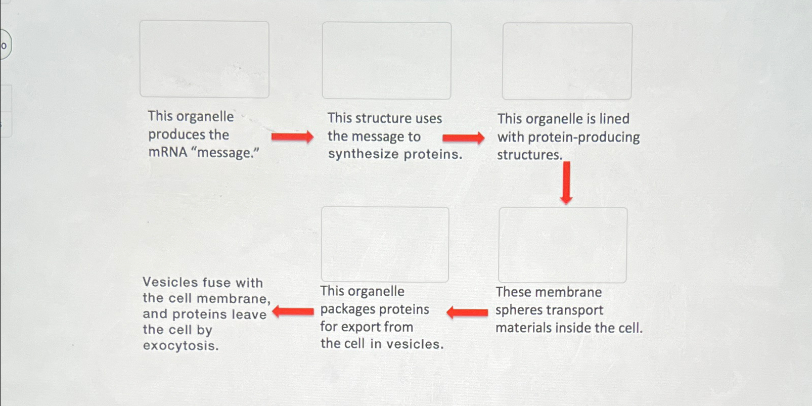 Solved This organelle produces the mRNA "message."Vesicles | Chegg.com