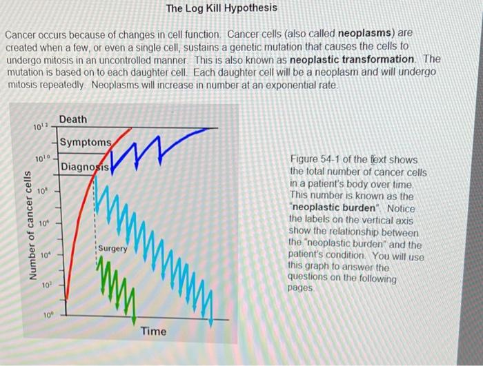 Solved The Log Kill Hypothesis Cancer occurs because of | Chegg.com