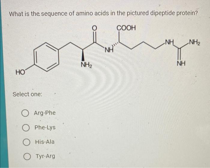 Solved What Is The Sequence Of Amino Acids In The Pictured