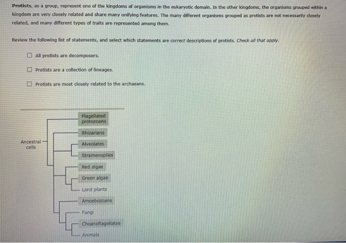 Solved Protists, as a group, represent one of the kingdoms | Chegg.com