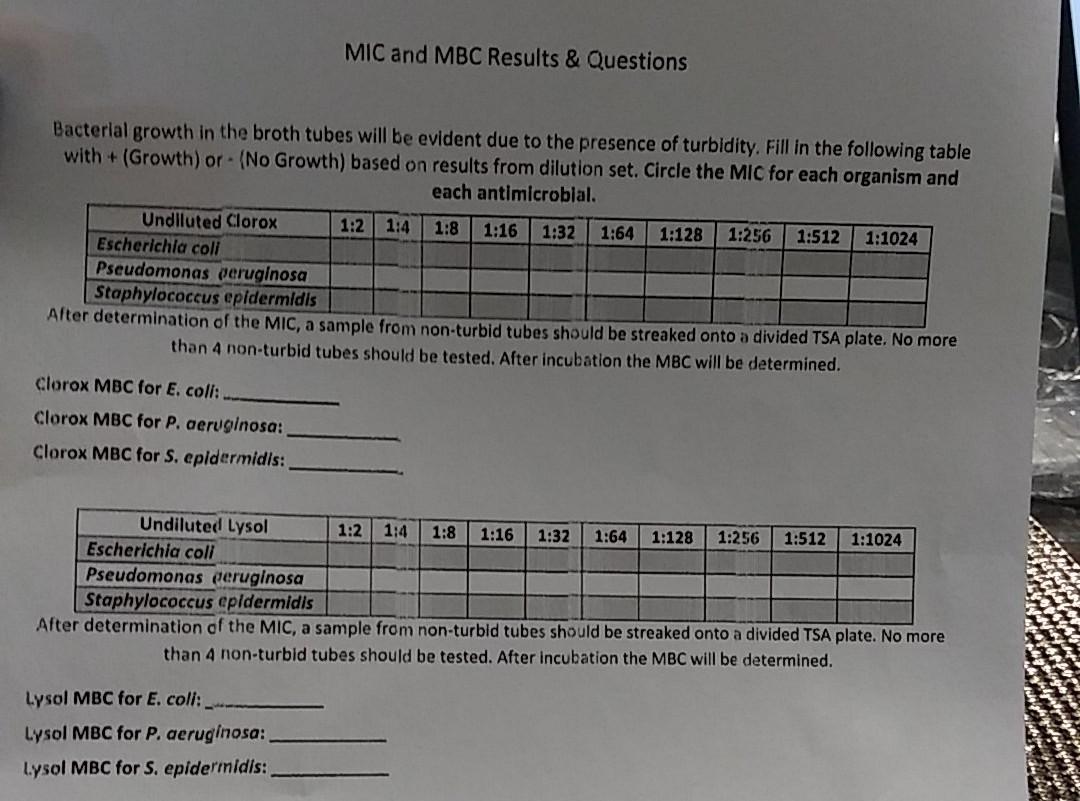 MIC and MBC Results & Questions Bacterial growth in | Chegg.com