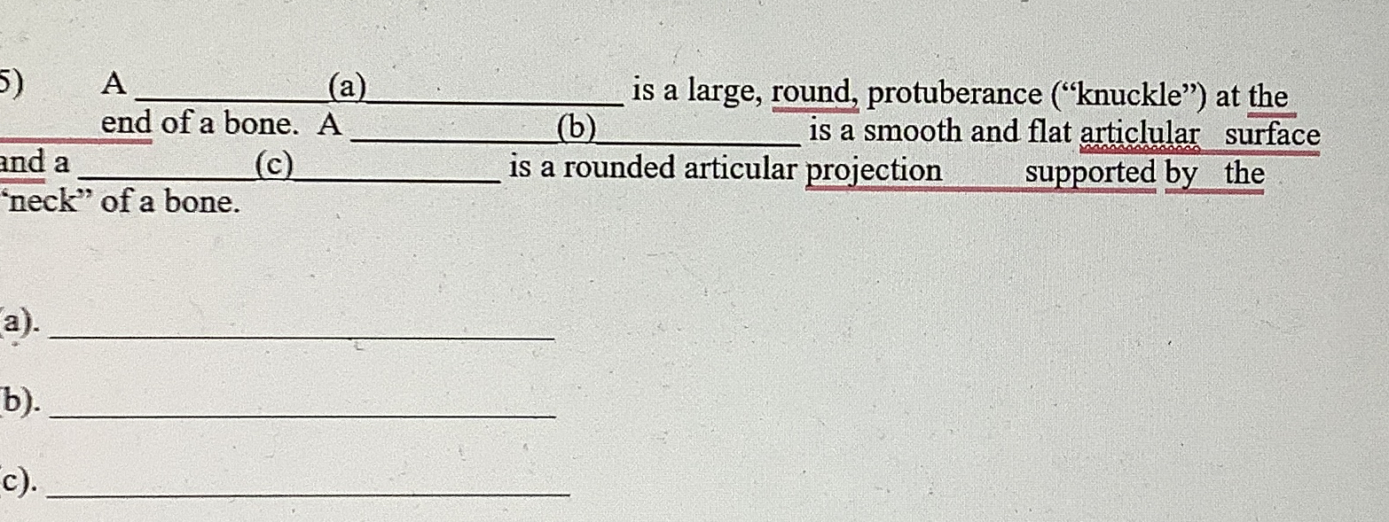 Solved A q, (a) ﻿is a large, round, protuberance ("knuckle") | Chegg.com