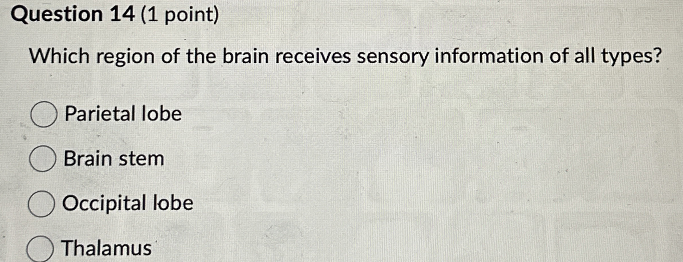 Solved Question 14 (1 ﻿point)Which region of the brain | Chegg.com
