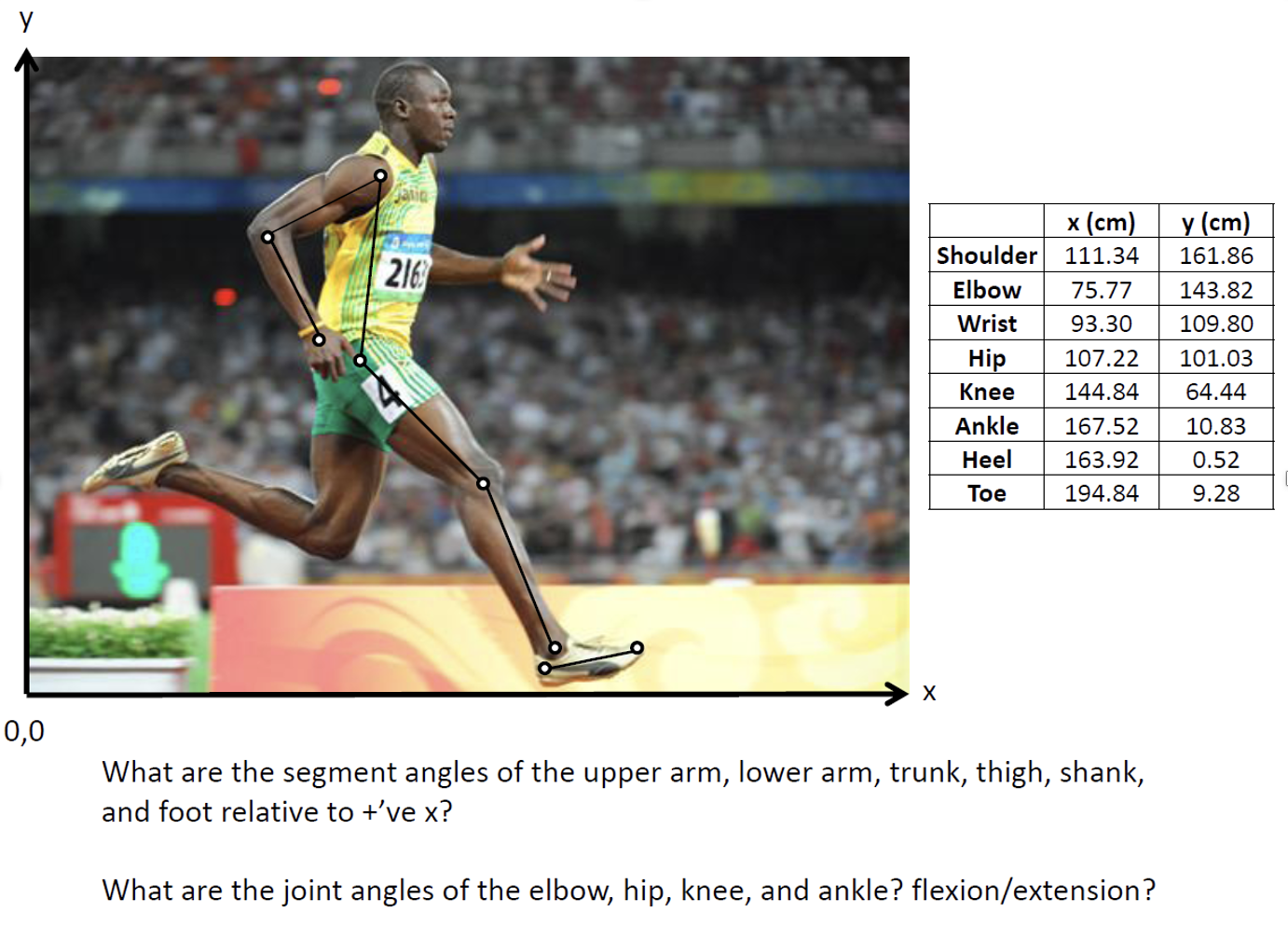 Solved please answer this biomechanics question | Chegg.com