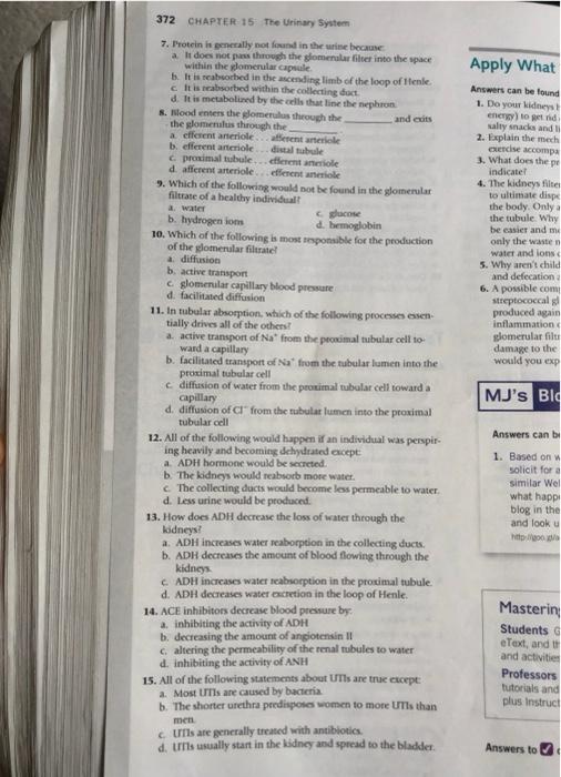 Solved 372 CHAPTER 15 The Urinary System Apply What Answers | Chegg.com
