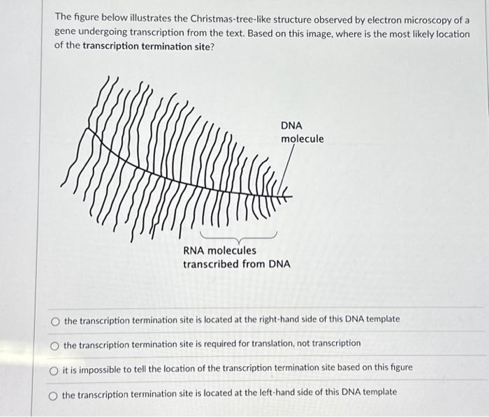 Solved The figure below illustrates the Christmas-tree-like | Chegg.com