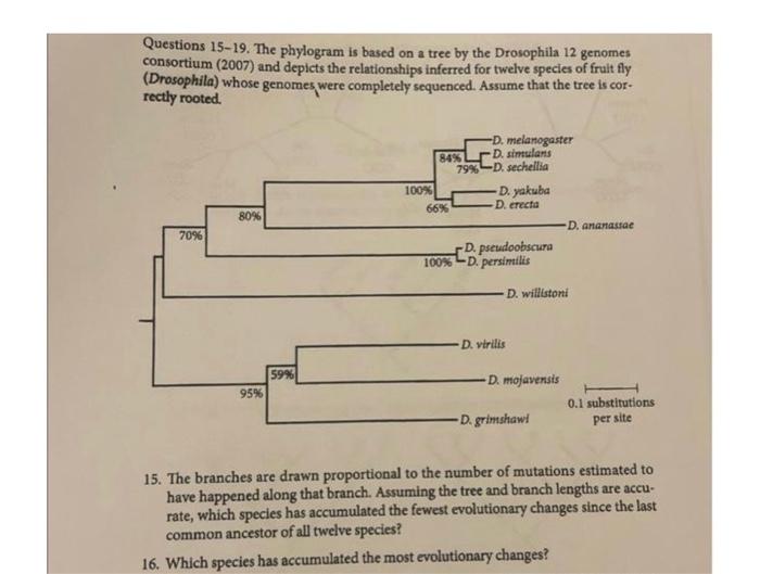 Solved Questions 15-19. The phylogram is based on a tree by | Chegg.com