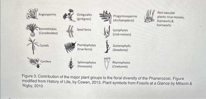 1) Use figure 3 to calculate the relative abundance | Chegg.com