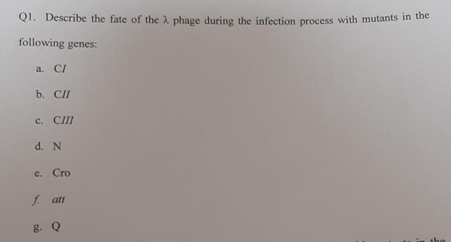 Solved Q1. Describe the fate of the λ phage during the | Chegg.com