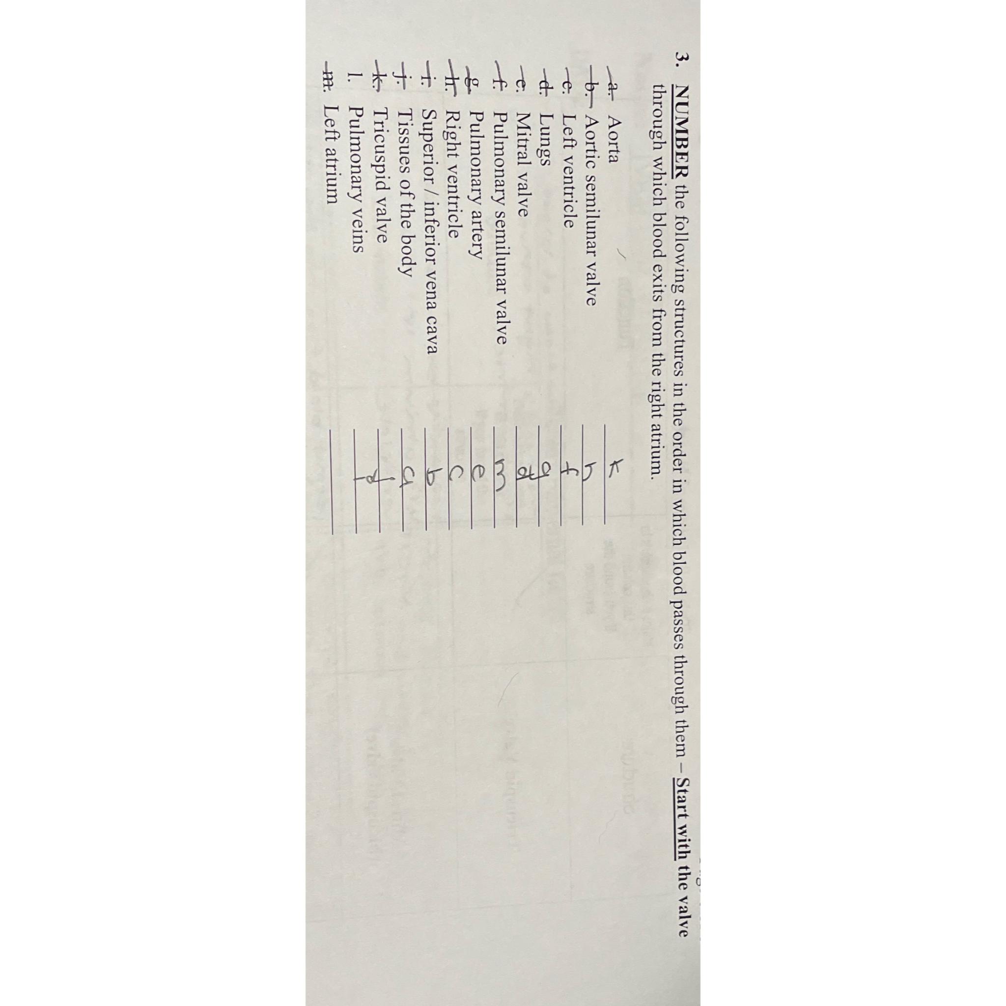 NUMBER the following structures in the order in which | Chegg.com