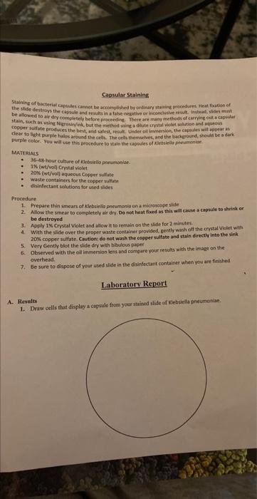 Solved D. Shses andite Ontalkas Copsular Staining Slaining | Chegg.com