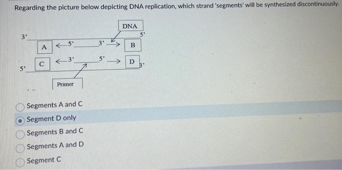 Solved Segments A and C Segment D only Segments B and C | Chegg.com