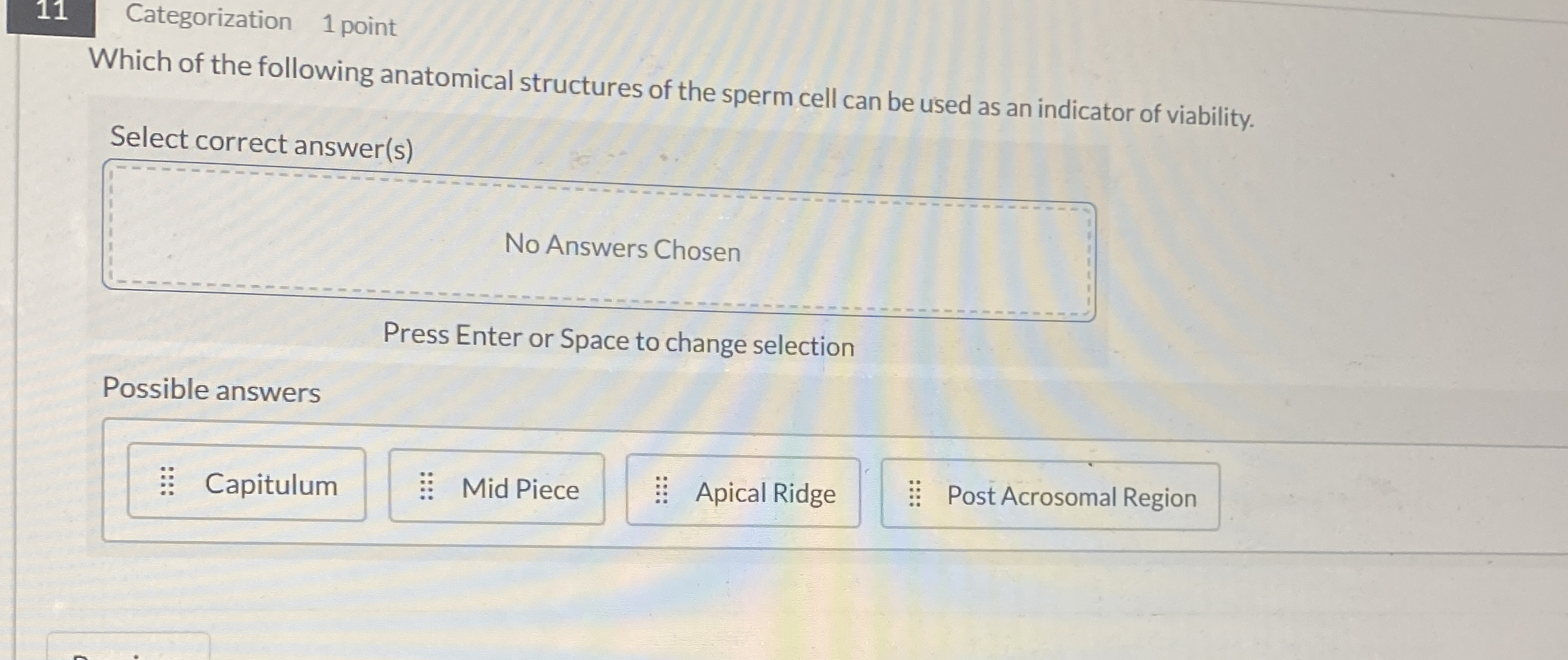 Solved 11 ﻿Categorization 1 ﻿pointWhich of the following | Chegg.com