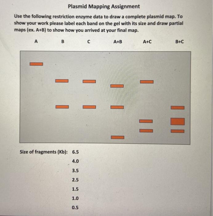 Solved Plasmid Mapping Assignment Use the following | Chegg.com