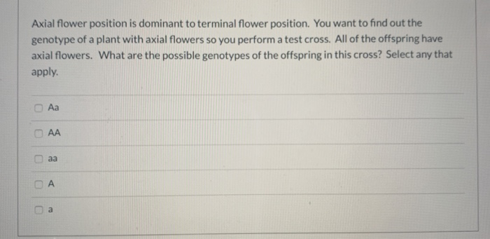 Solved Axial flower position is dominant to terminal flower | Chegg.com