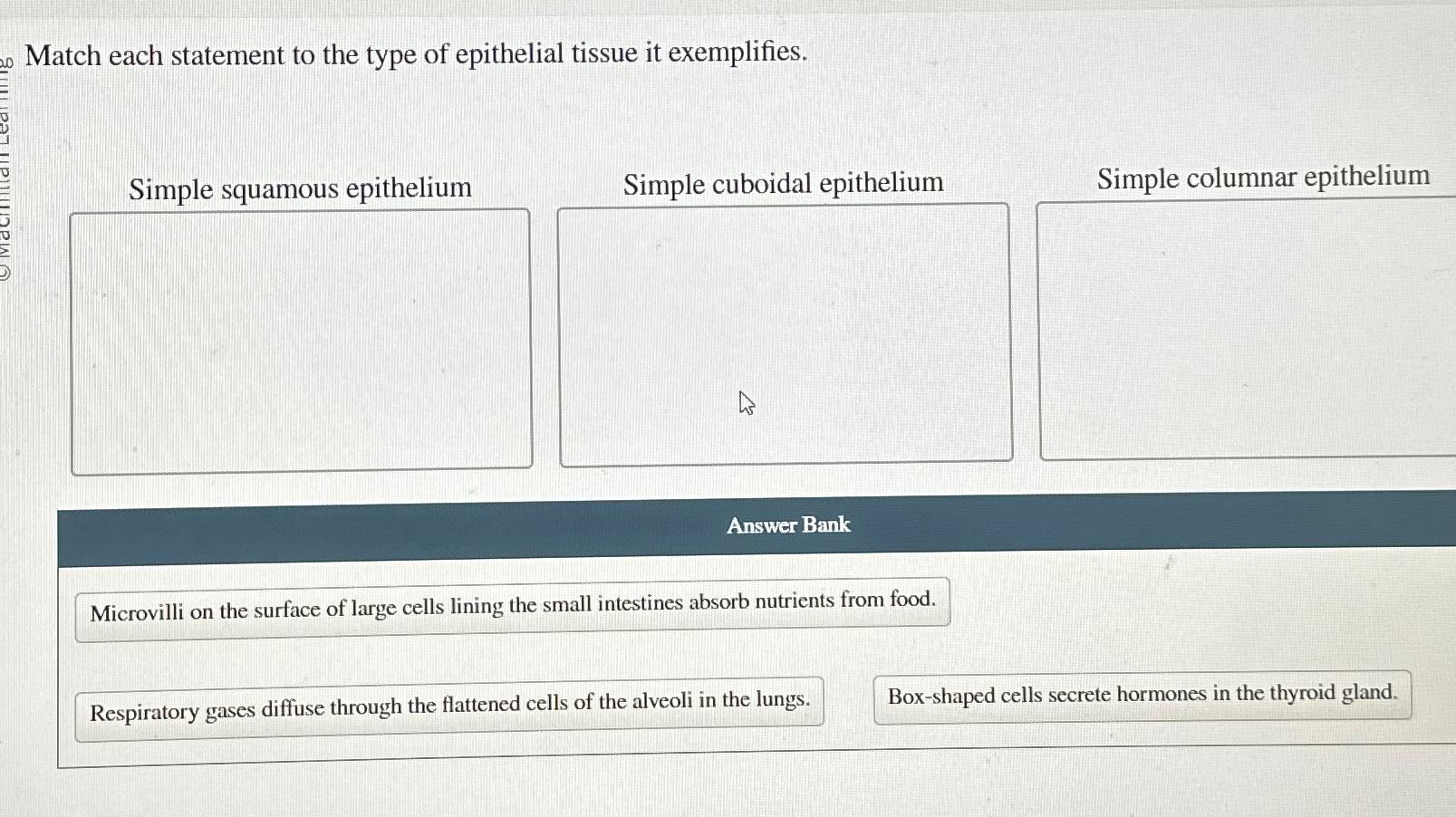 Solved Match each statement to the type of epithelial tissue | Chegg.com