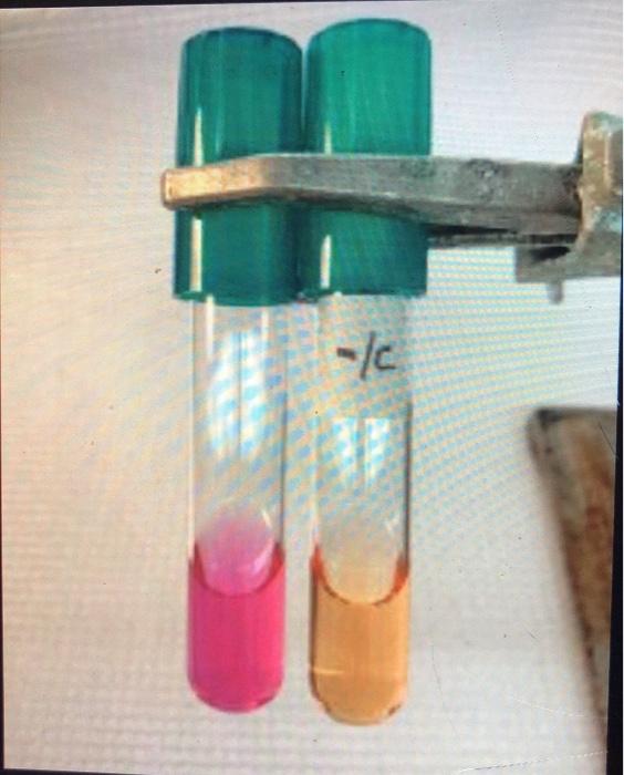 Solved Urea Hydrolysis results (left) with uninoculated | Chegg.com