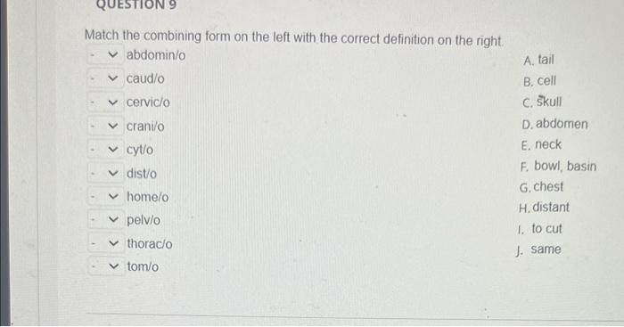 Solved Match the combining form on the left with the correct | Chegg.com