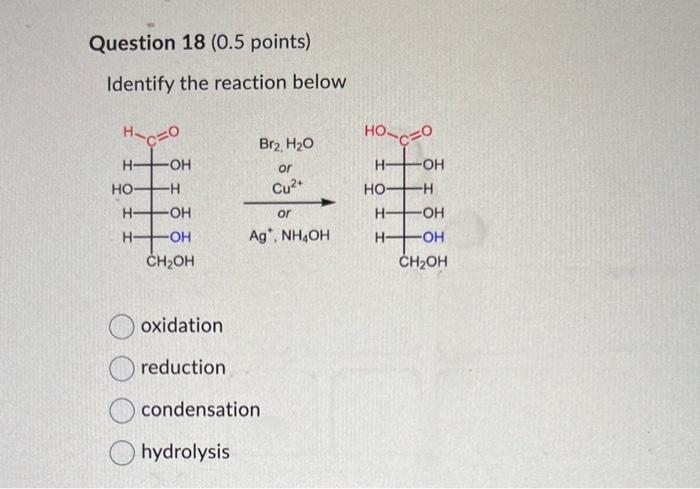 Solved Question 18 ( 0.5 points) Identify the reaction below | Chegg.com