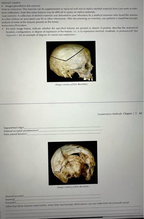 Maceral needed - Irrages procided in this exercice | Chegg.com