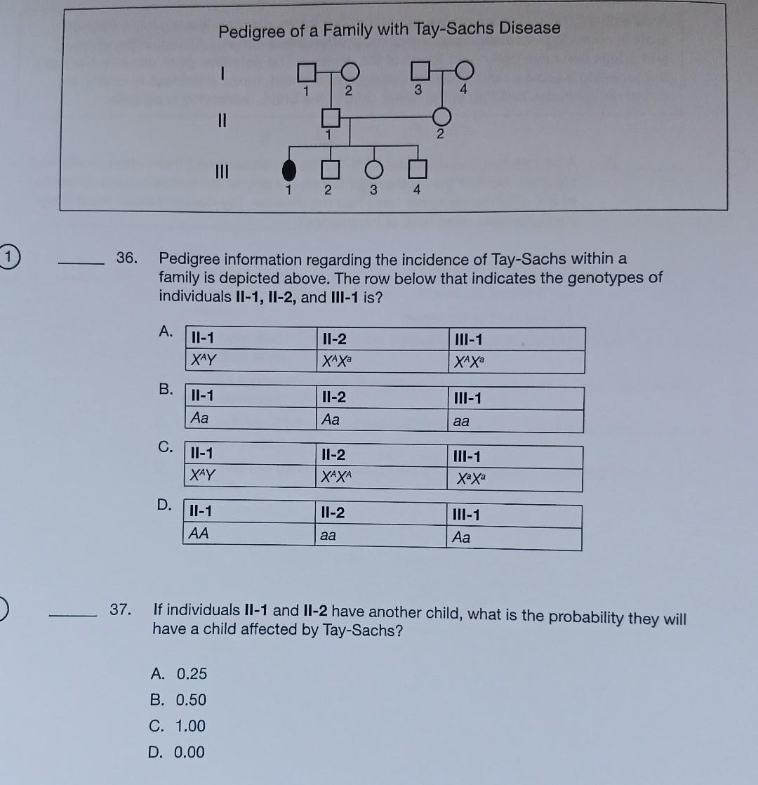 Solved Pedigree of a Family with Tay-Sachs Disease I II III | Chegg.com