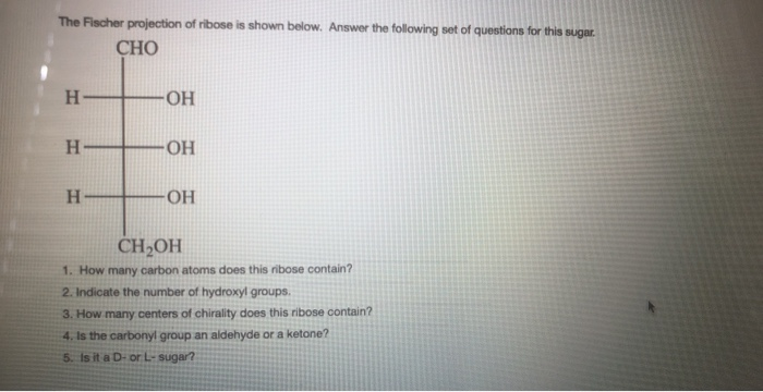 Solved The Fischer projection of ribose is shown below. | Chegg.com