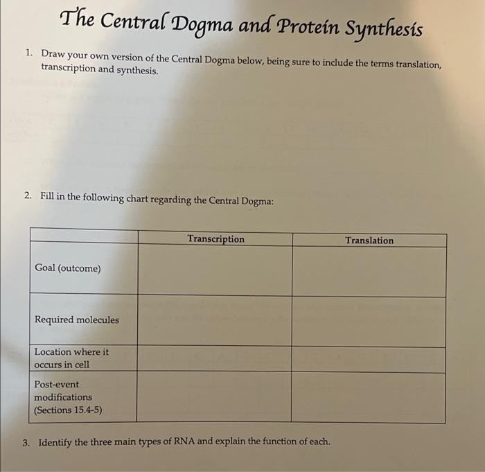 Solved The Central Dogma and Protein Synthesis 1. Draw your | Chegg.com