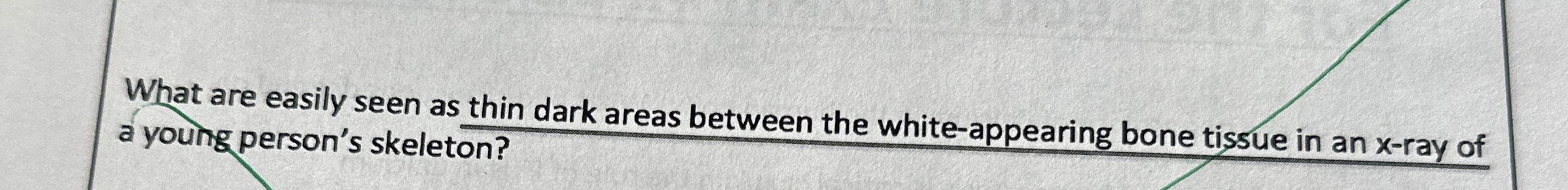 Solved What are easily seen as thin dark areas between the | Chegg.com