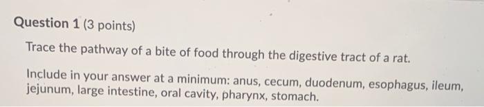 Solved Question 1 (3 points) Trace the pathway of a bite of | Chegg.com