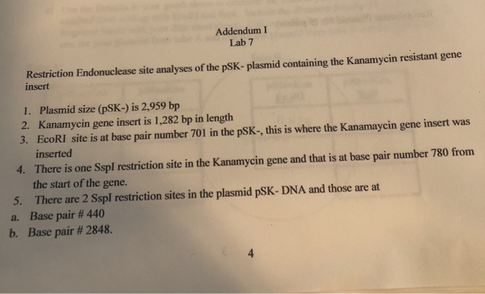 Solved 2 Addendum 1 to this lab provides information on the | Chegg.com