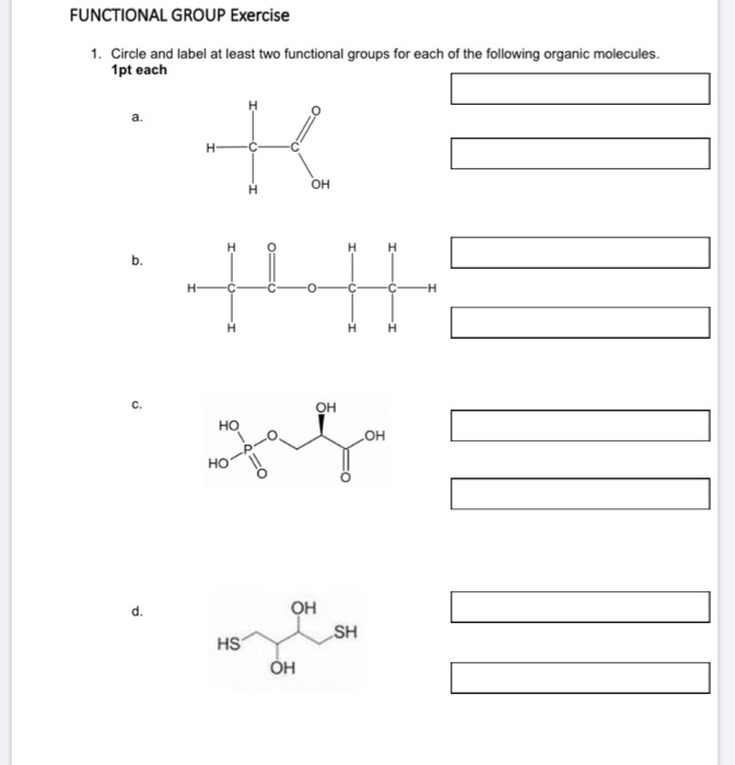 Solved FUNCTIONAL GROUP Exercise 1. Circle and label at | Chegg.com