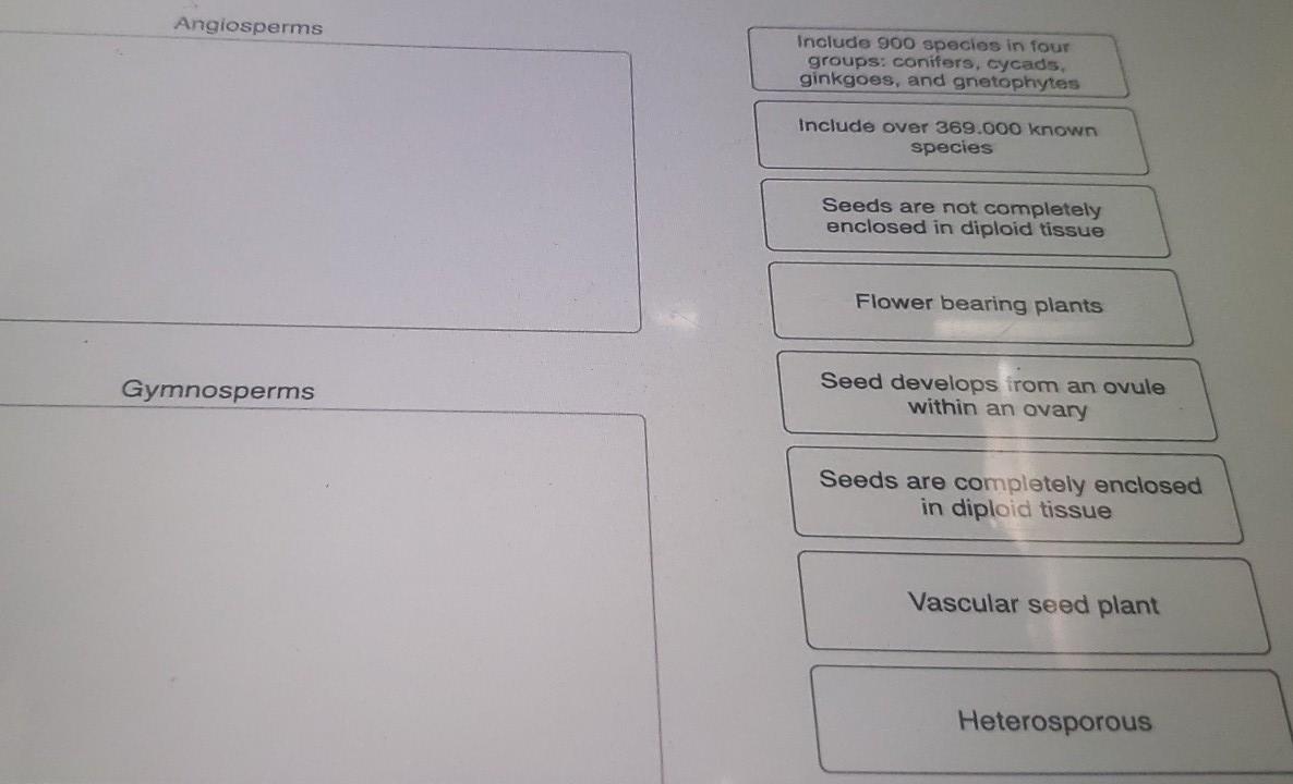 Solved Classify the following characteristics to describe | Chegg.com