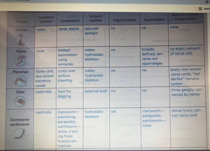 Solved Reading list TABLE 19.1 Summary Table of Animal | Chegg.com