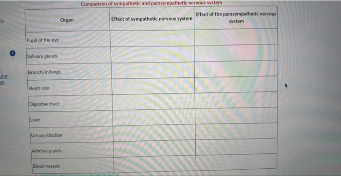 Solved 1. Label the parts of the neuron (axon, dendrite, | Chegg.com