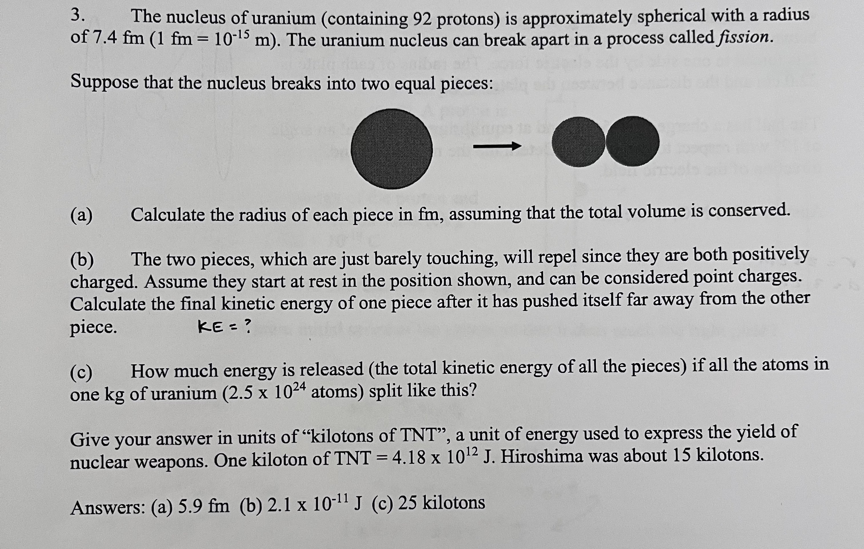 The nucleus of uranium (containing 92 ﻿protons) ﻿is | Chegg.com